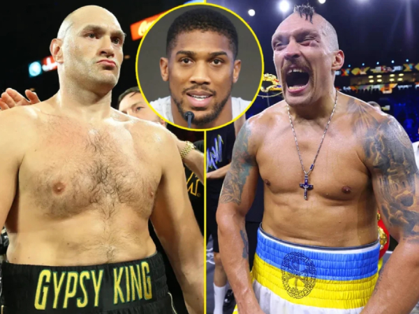 WBC Ingin Anthony Joshua Hadapi Pemenang Tyson Fury Versus Oleksandr ... WBC Ingin Anthony Joshua Hadapi Pemenang Tyson Fury Versus Oleksandr ...